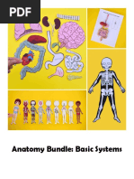 Life Size Printable Human Body Organs | PDF | Self-Improvement