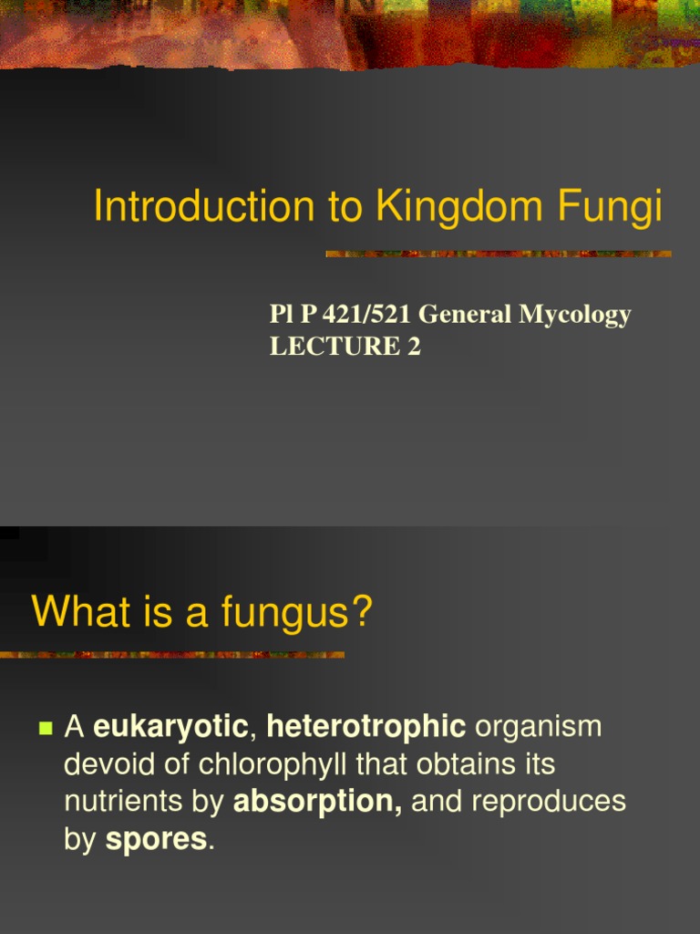 Lecture 2 Intro To Kingdom Fungi | PDF | Ploidy | Meiosis