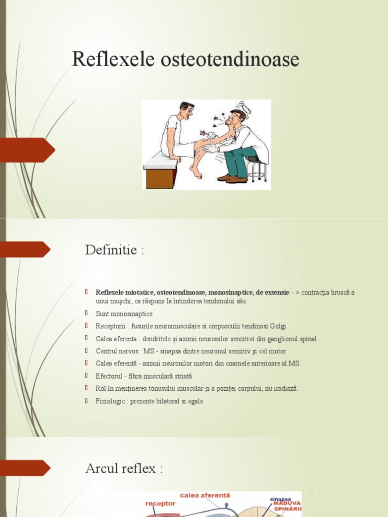 Reflexele Osteotendinoase | PDF