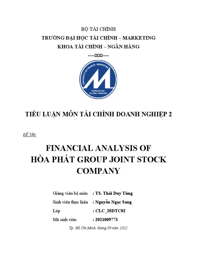 Financial Analysis of Hòa Phát Group Joint Stock Company | PDF | Equity ...