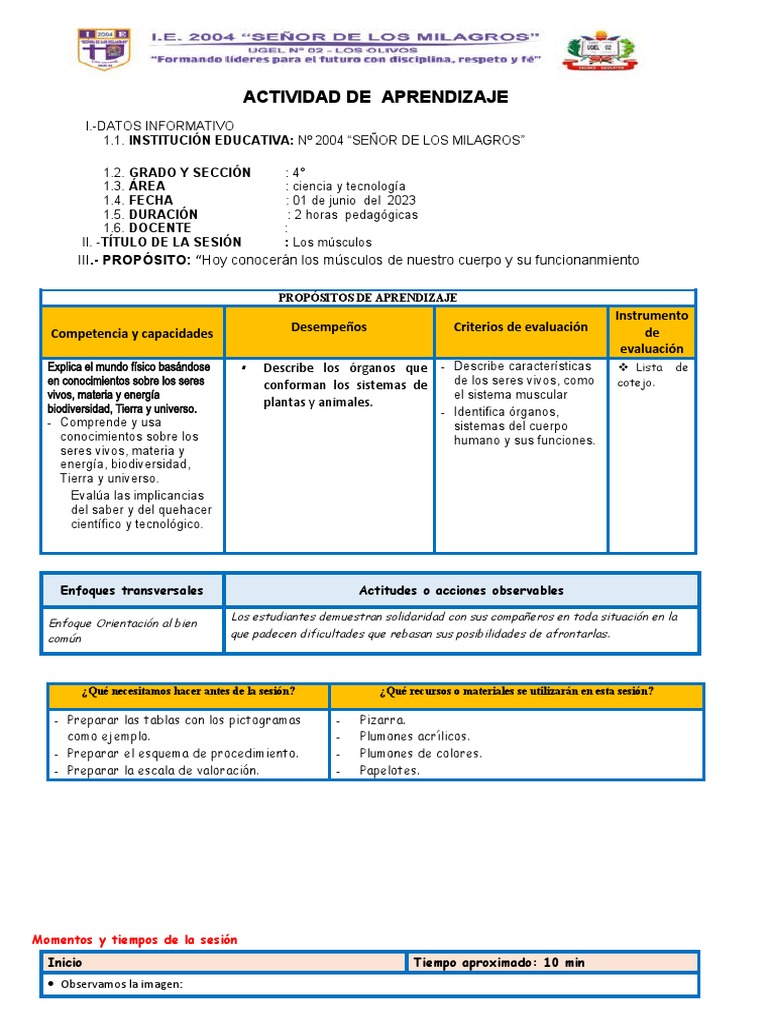 Sesion de Cy T Musculos | PDF | Evaluación | Aprendizaje