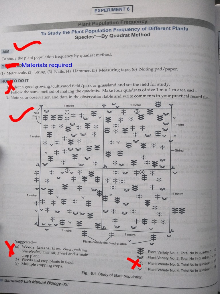 Plant Population Frequency | PDF | Mortality Rate | Natural Environment