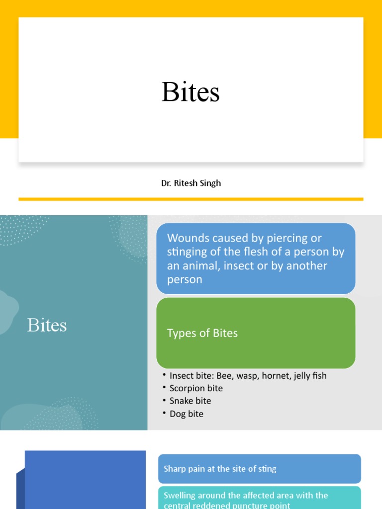 Bites First Aid | PDF | Rabies | Wound