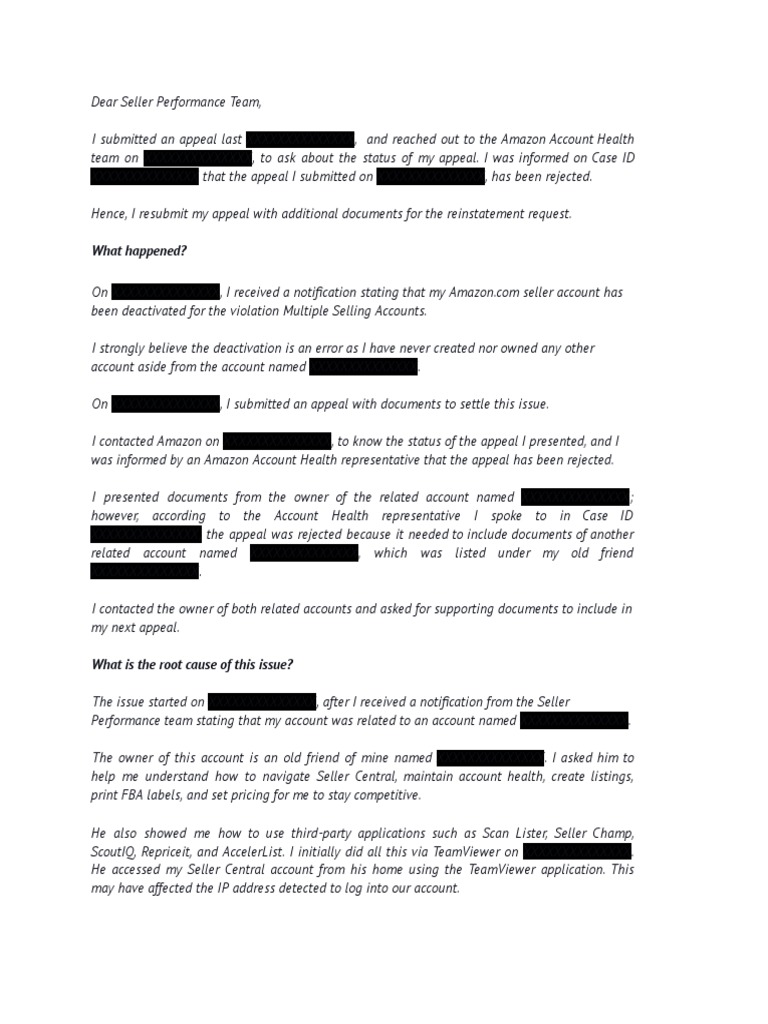 Seller Interactive_Example of a Plan of Action for Amazon | PDF ...