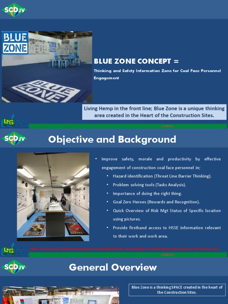 T7 Project Blue Zone Program - July 2021 - Final | PDF | Risk