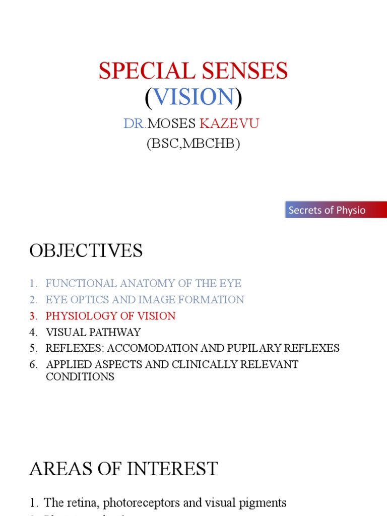 Lecture 8 Special Senses Part 3-Vision | PDF | Retina | Visual Perception