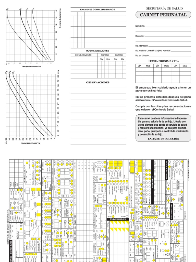 Carnet Perinatal (1) | PDF