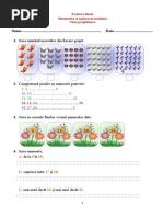 CLR Evaluare Sumativa Modulul I | PDF