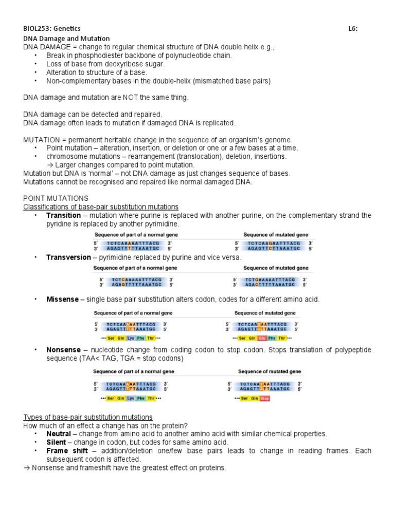 Impact of DNA Mutations on Proteins | PDF | Dna | Mutation