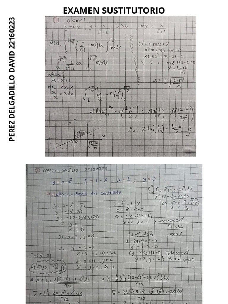 Examen Sustitutorio | PDF