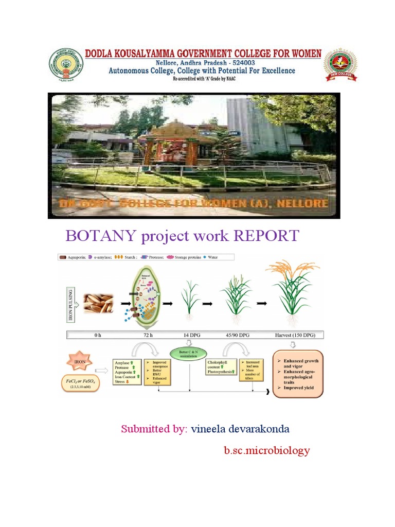 Botany Project Report | PDF | Ultraviolet | Electromagnetic Radiation