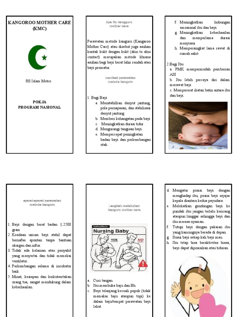 Leaflet Pmk Pdf