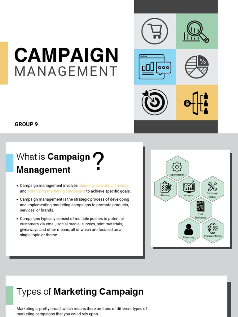 Campaign Management | PDF | Target Audience | Marketing