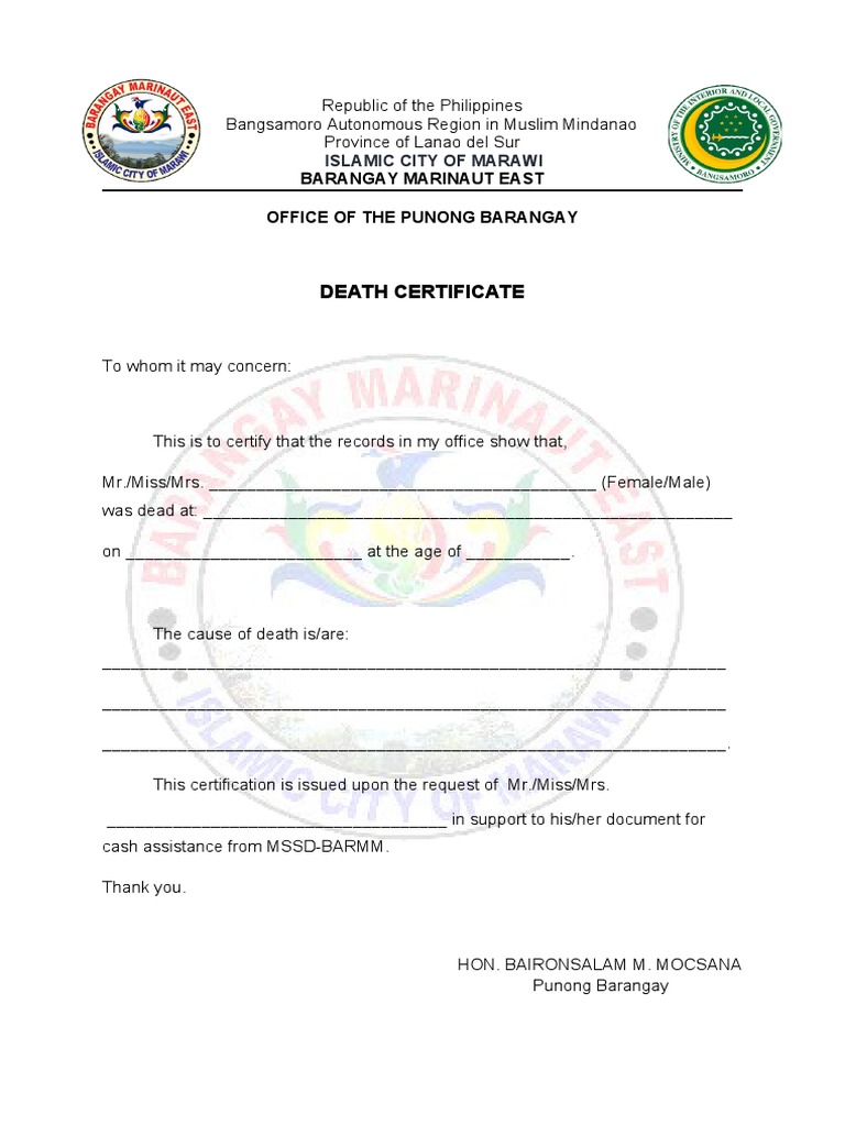 Brgy Death Certificate | PDF