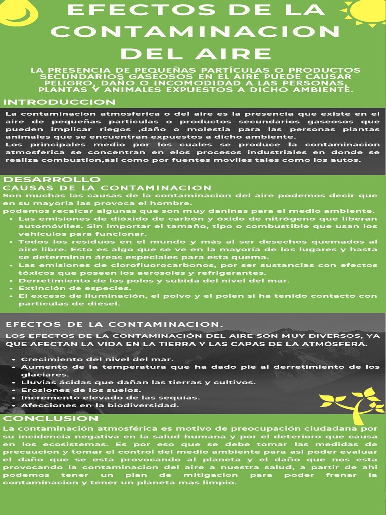 Efectos de La Contaminacion Del Aire | PDF | Contaminación | La contaminación del aire