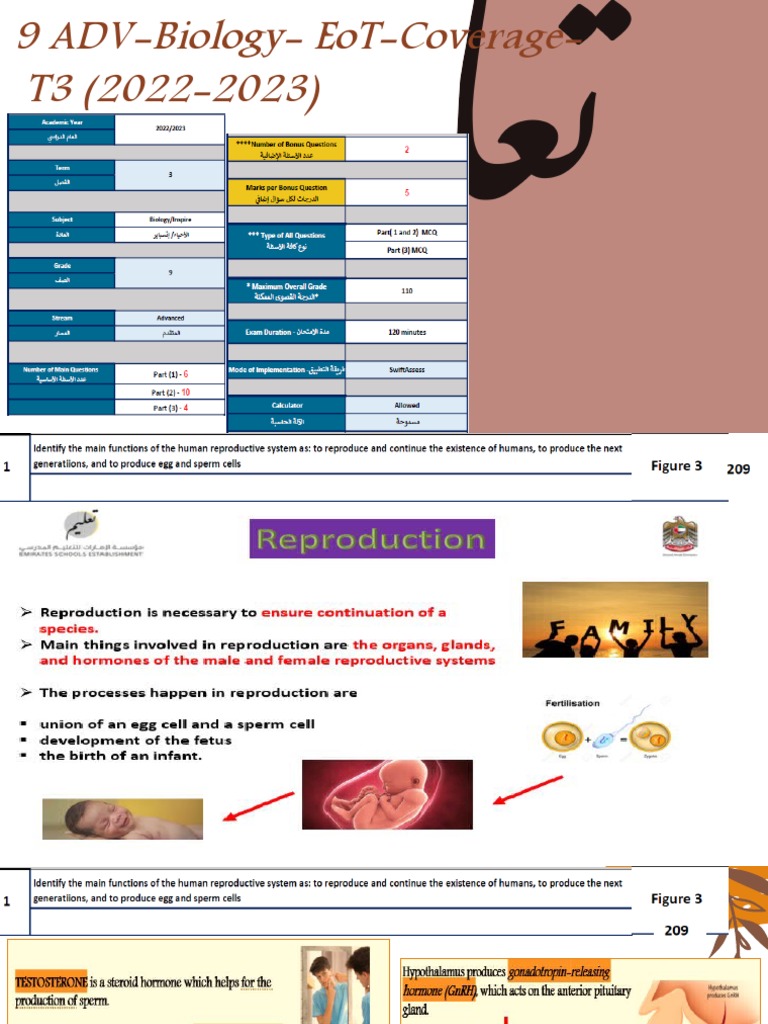 EOT - 9 Adv T3 - Yr 22-23 | PDF | Meiosis | Menstrual Cycle