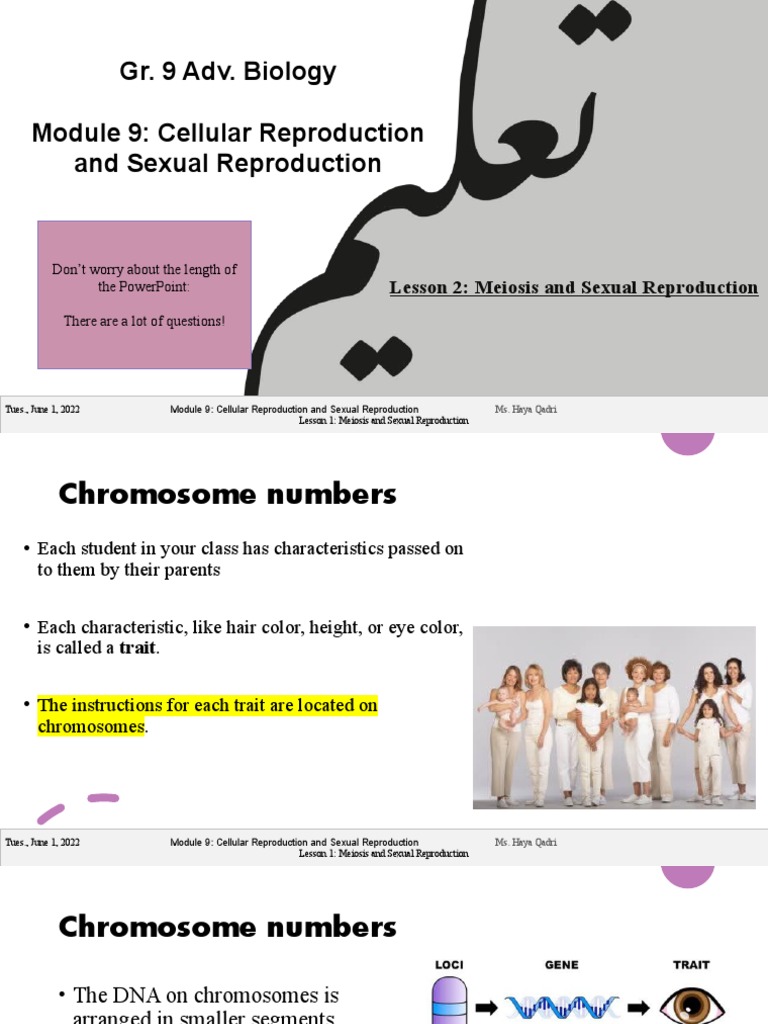 Lesson 2 - Sexual Reproduction | PDF | Meiosis | Sexual Reproduction