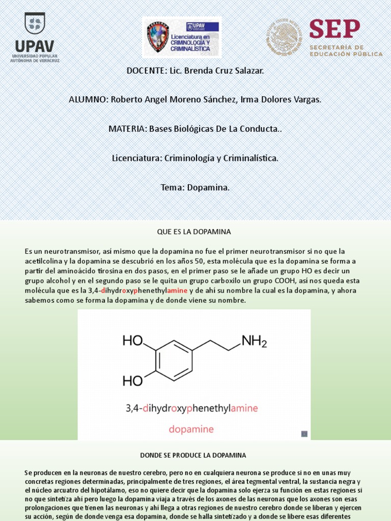 DOPAMINA | PDF | Dopamina | Cerebro