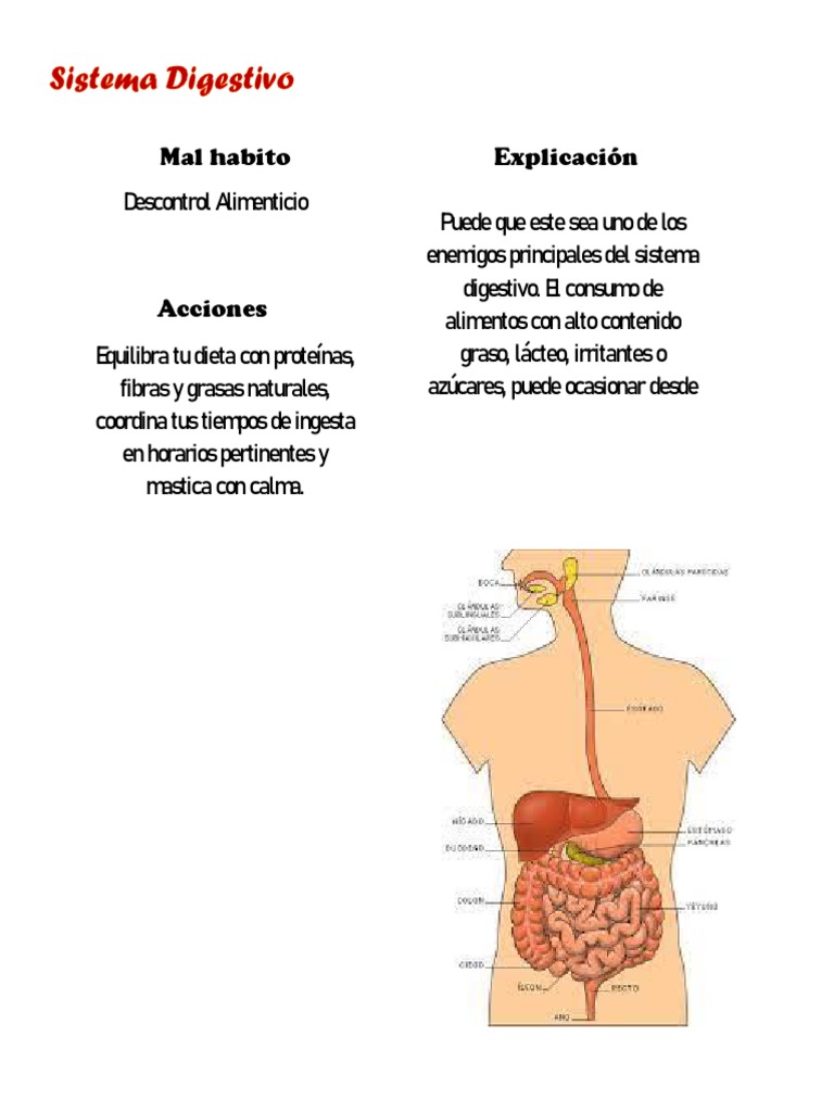 Enfermedades De Los Sistemas Del Cuerpo Pdf Alimentos Dormir