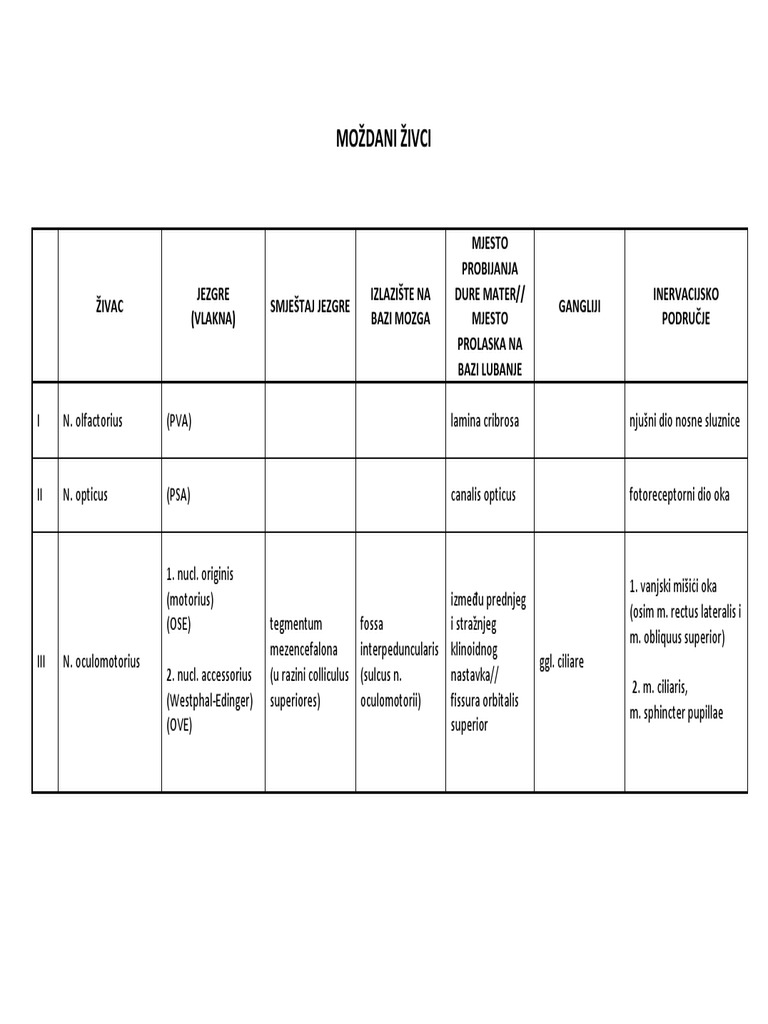 A2V5 Moždani Živci Handout Banovac | PDF