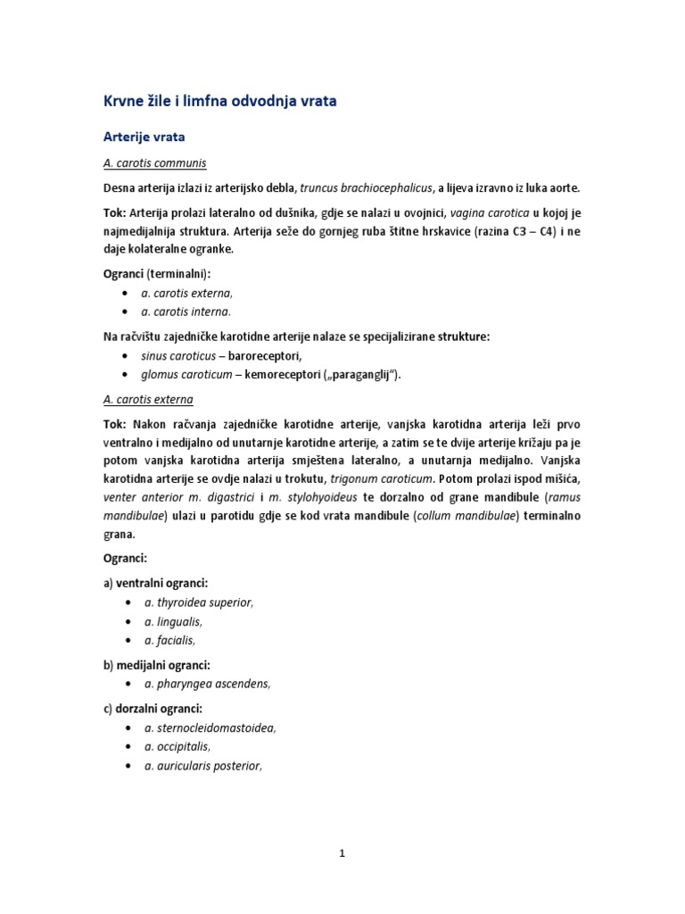 A2V3 Krvne Žile I Lmfna Odvodnja Handout Banovac | PDF