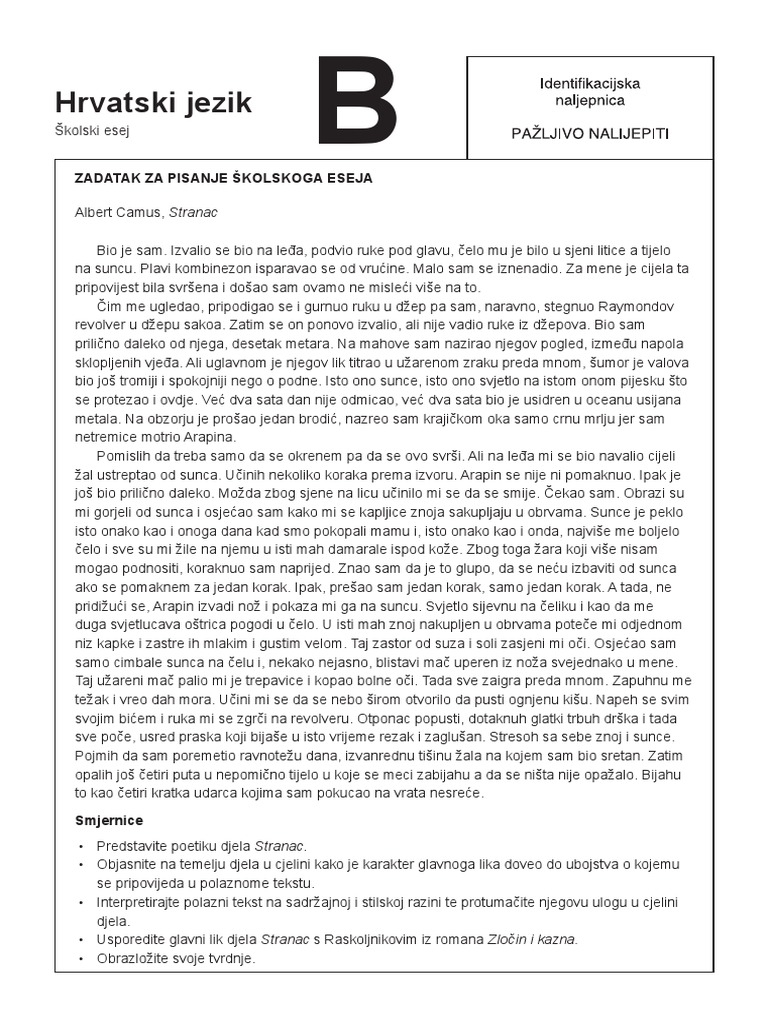 ESEJSKI ZADATAK ZA B RAZINU | PDF