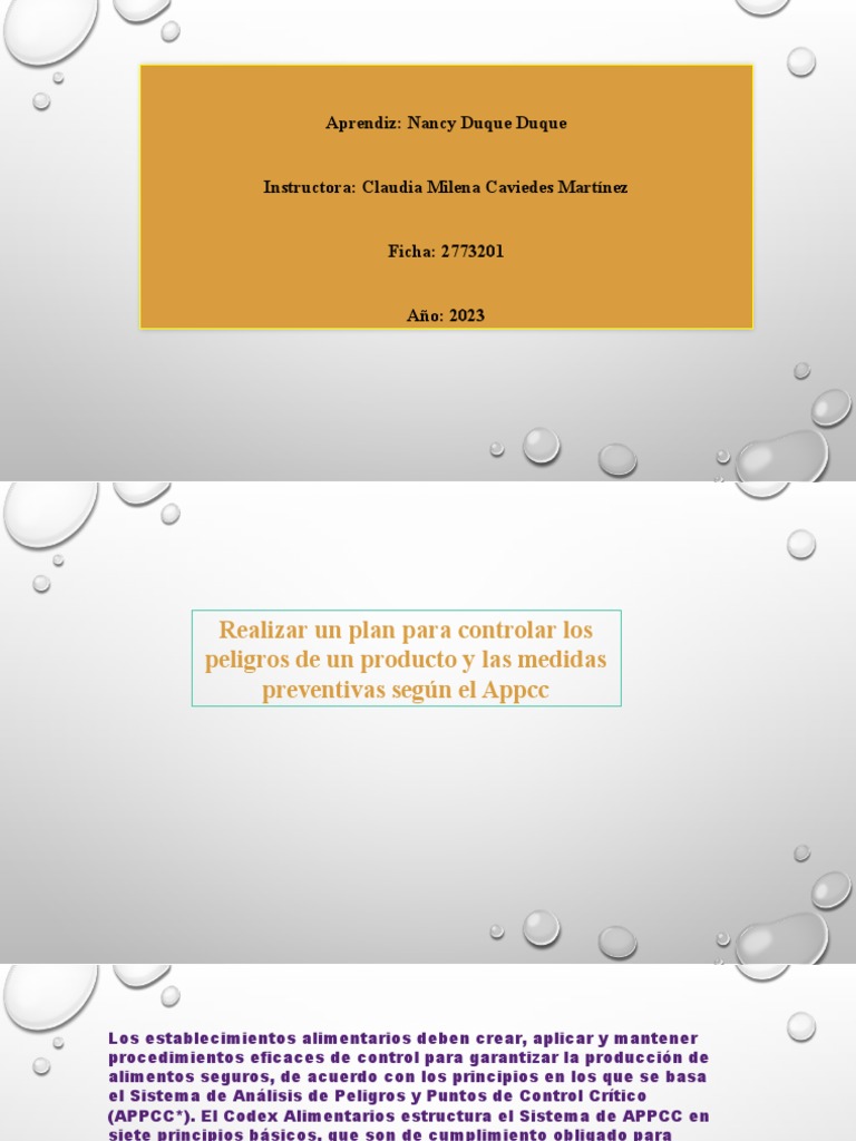 Plan de Control Los Peligros | PDF | Análisis de Riesgo y Puntos Críticos de Control | Comida y ...