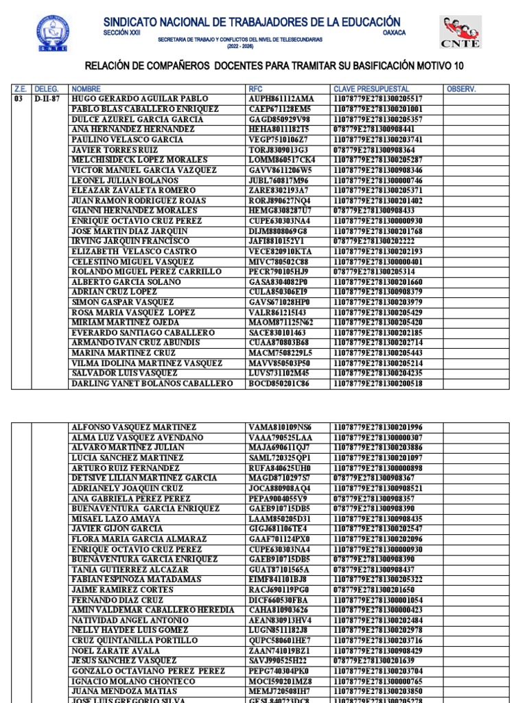 Formato para Basificacion - Corregido | PDF