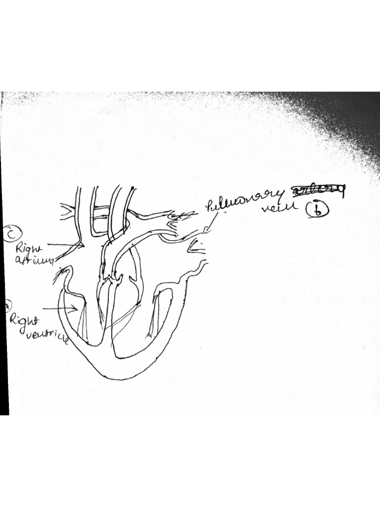 10th-science-diagrams-pdf
