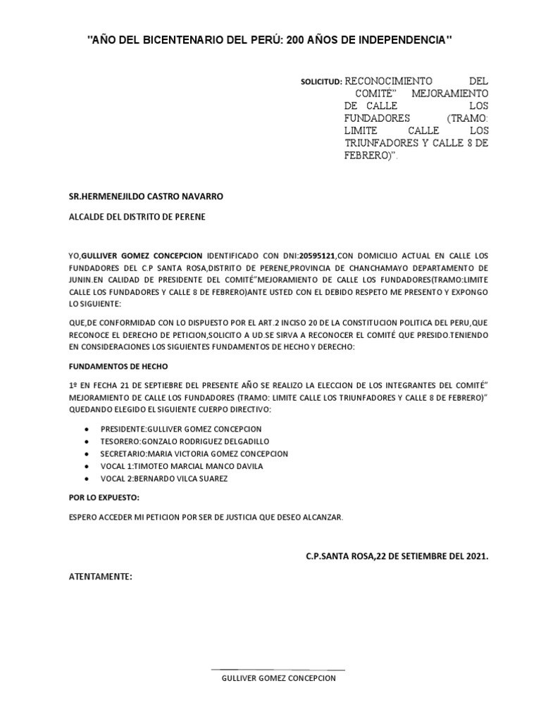 SOLICITUD DE RECONOCIMIENTO DE COMITE | PDF