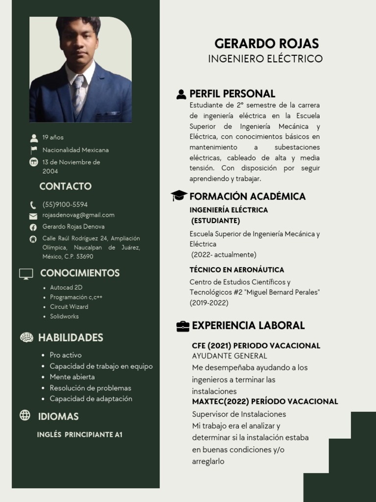 Currículum Rojas Denova Gerardo | PDF