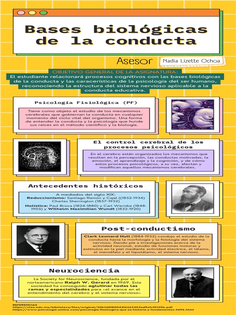 Bases Biológicas de La Conducta | PDF | Sicología | Cerebro