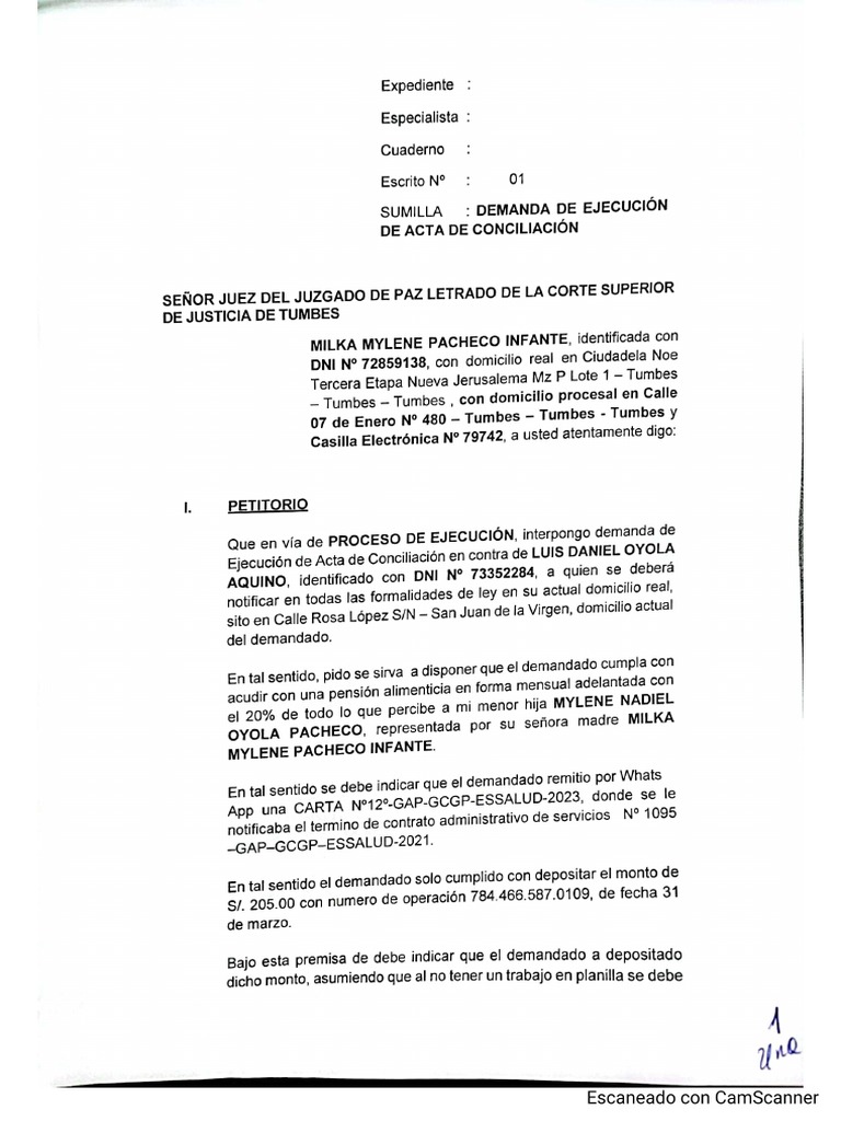 Demanda Final Junio | PDF