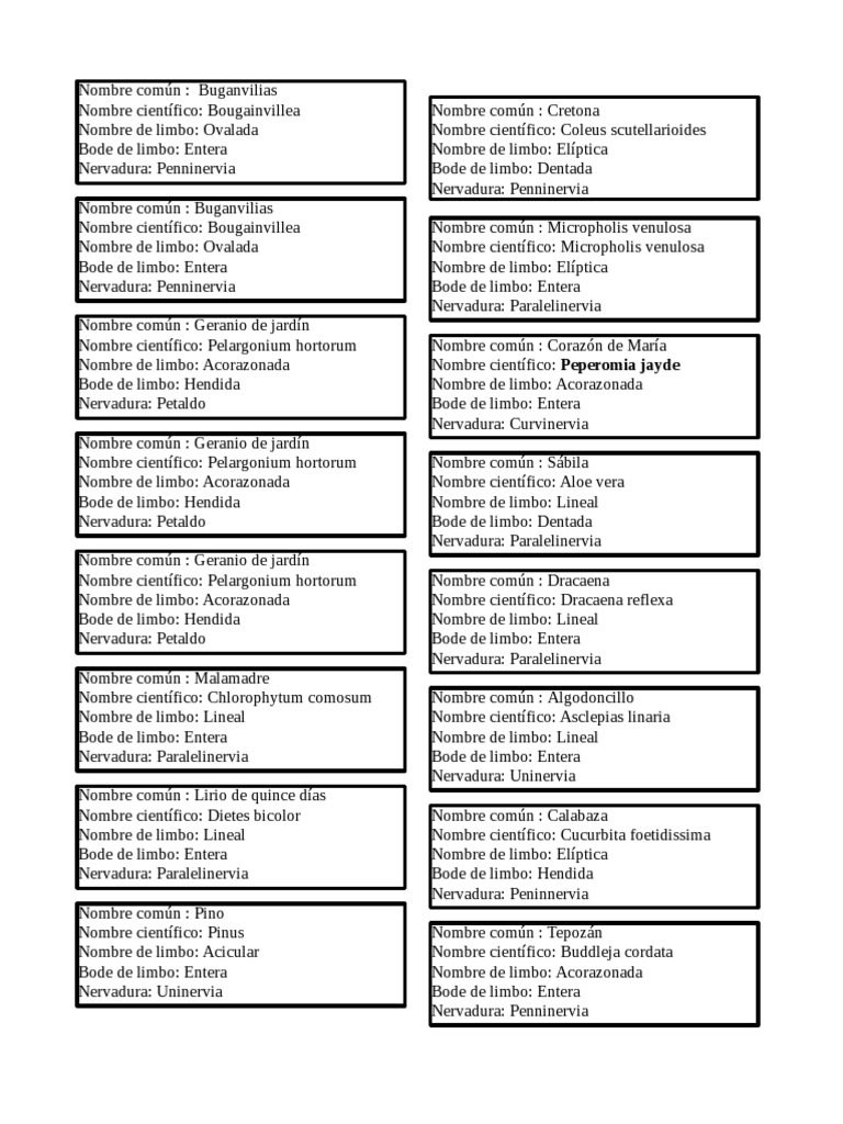 TARJETAS Biologia | PDF | Plantas | Arboles