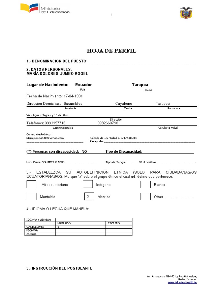 Anexo 3. HOJA DE PERFIL MINISTERIO DE EDUCACION | Descargar gratis PDF ...