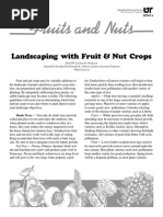 Bearing and Non Bearing Fruit Trees | PDF | Trees | Apple