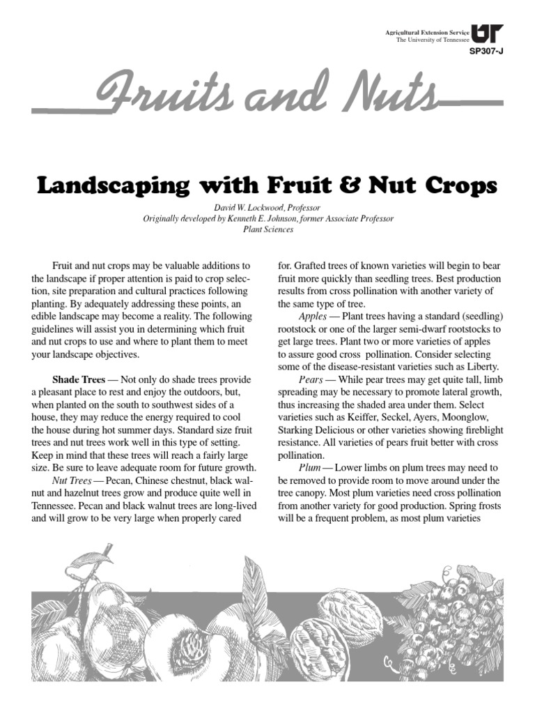 Fruits and Nuts: Landscaping With Fruit & Nut Crops | Download Free PDF ...