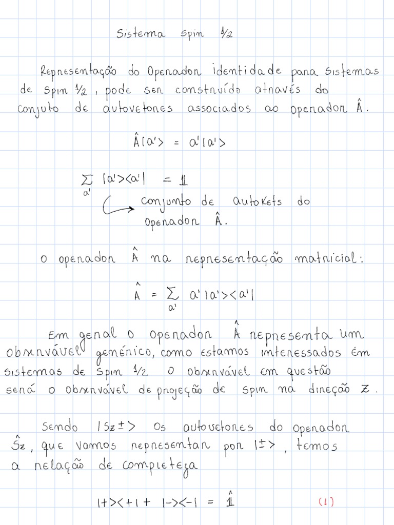 Aula 4 (Sistemas de SPIN 1 2, Medidas e Observáveis) | PDF