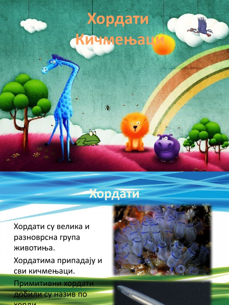 Hordati Matura 1 | PDF