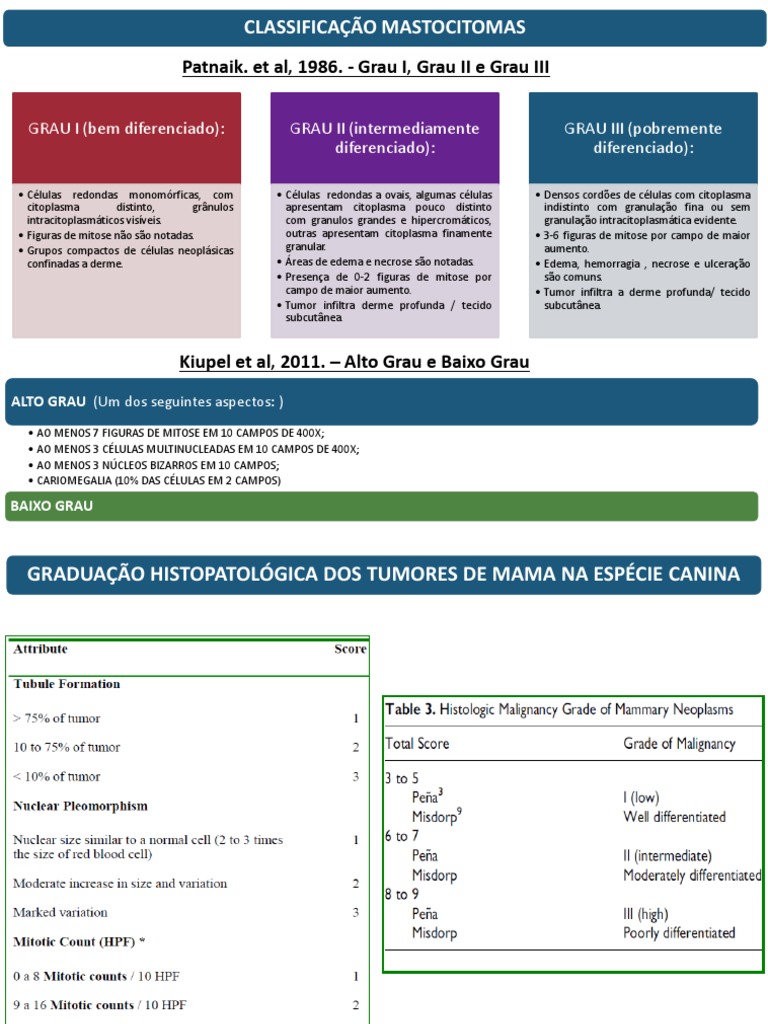 CLASSIFICAÇÃO DE MASTOCITOMA | PDF | Neoplasmas | Câncer