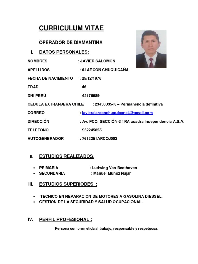 CV Javier Alarcon | PDF