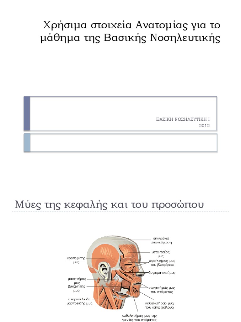 ΒΝ Ι Βασικά στοιχεία Ανατομίας | PDF