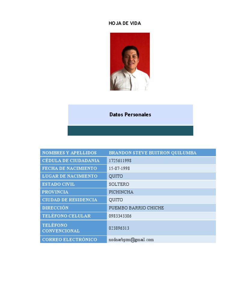 Cv Brandon Steve | PDF | Cocinando | Alimentos