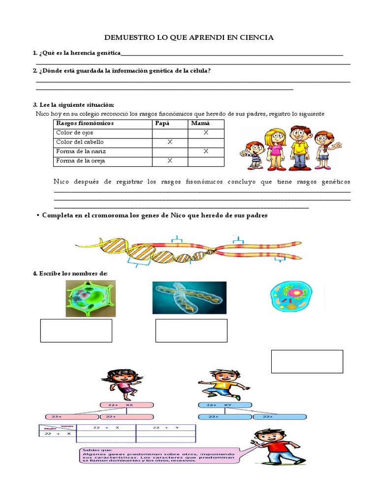 Ficha La Herencia Genetica de La Familia | PDF | Herencia | Genética