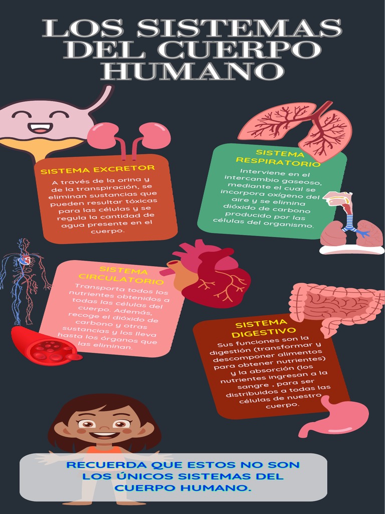 Infografía - Los Sistemas de Nutrición - El Sistema Digestivo - El ...