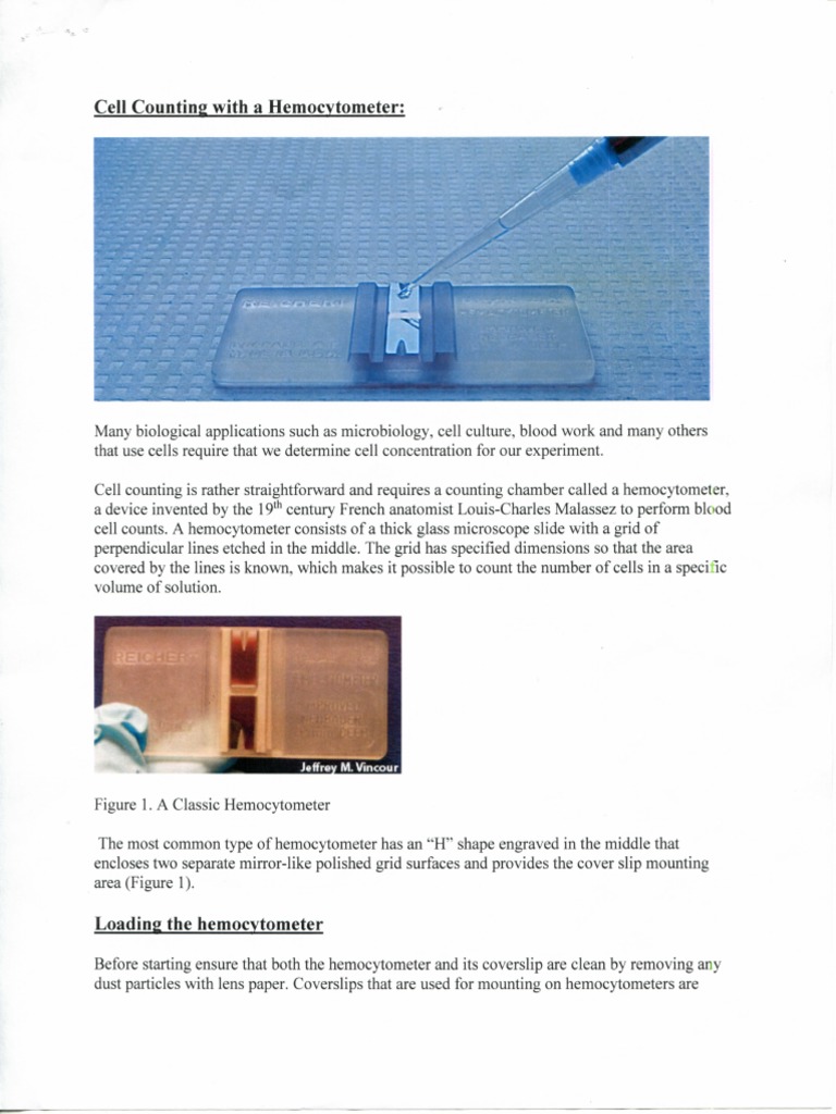 Hemocytometer | PDF