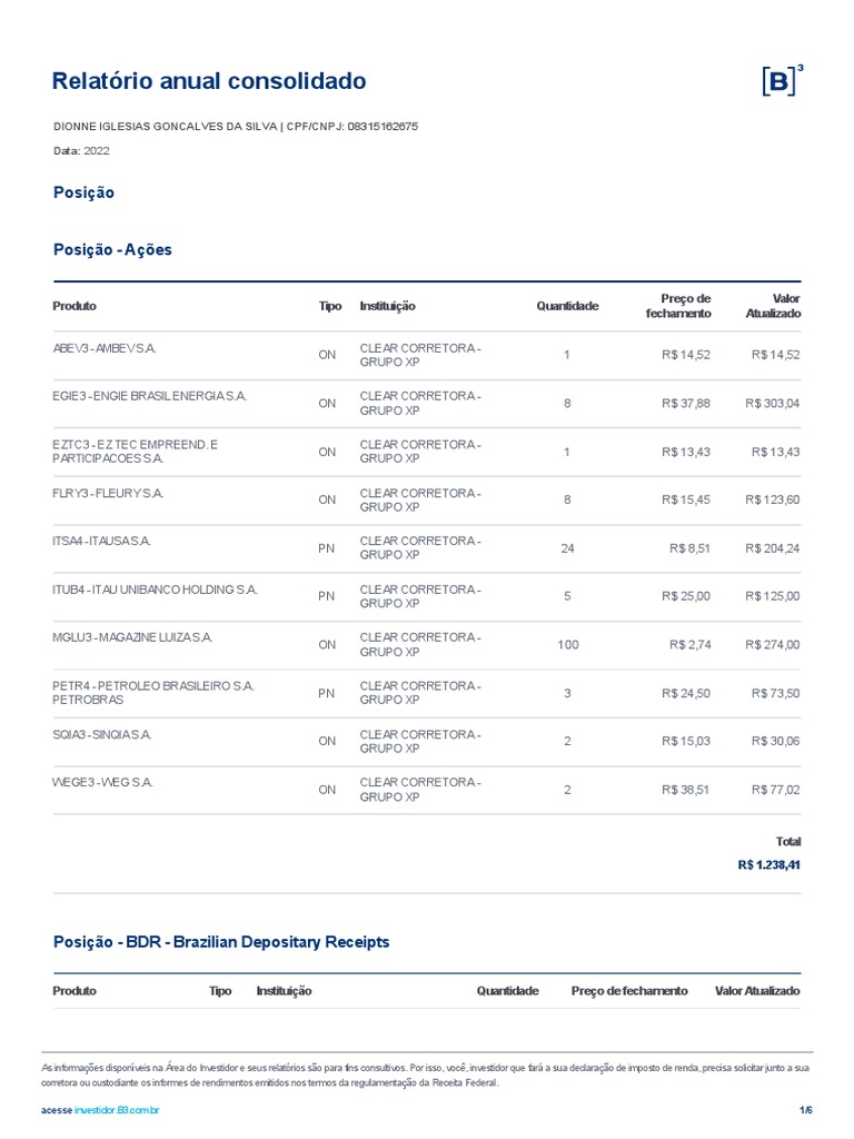 relatorio-consolidado-anual-2022 | PDF | Câmbio de fundo comercial | Investimentos