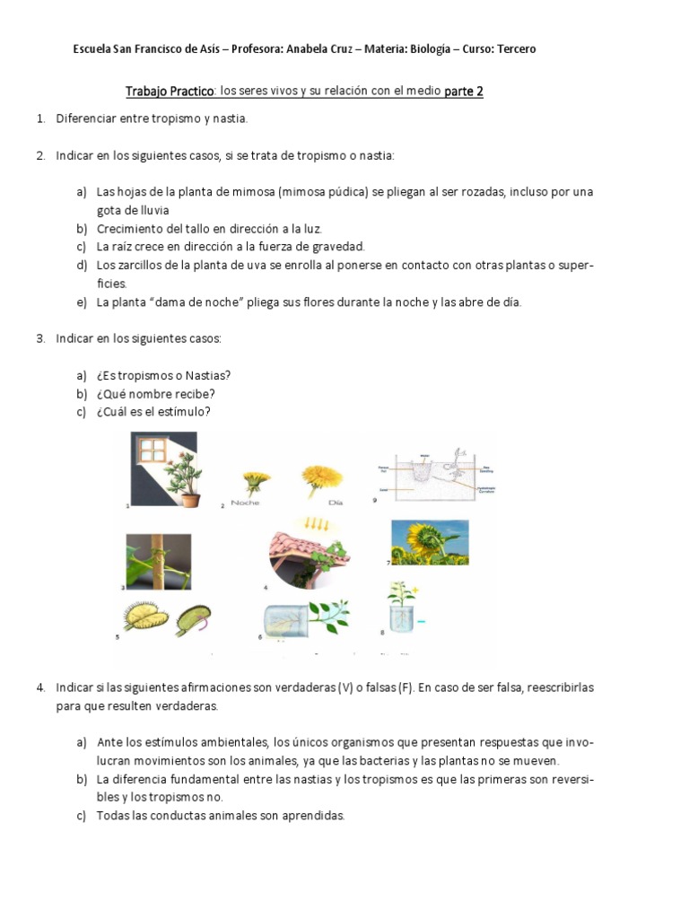 Trabajo Práctico Los Seres Vivos y Su Relacion Con El Medio Parte 2 ...