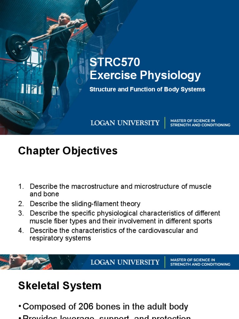 Week 1 - Structure and Function of Body Systems-1-1 | PDF | Muscle ...