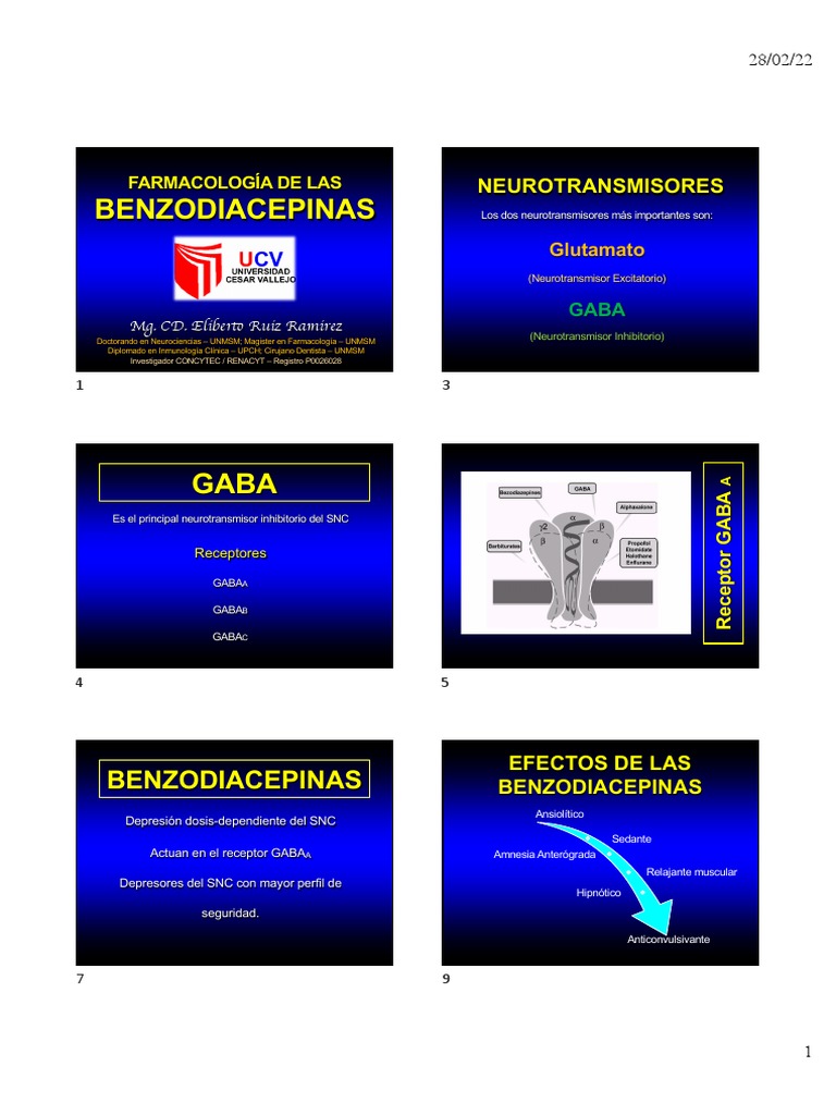 BENZODIACEPINAS | PDF | Benzodiazepinas | Farmacología